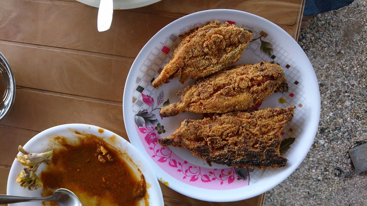 Discovering the Bombil aka Bombay Duck – Banjaran Foodie
