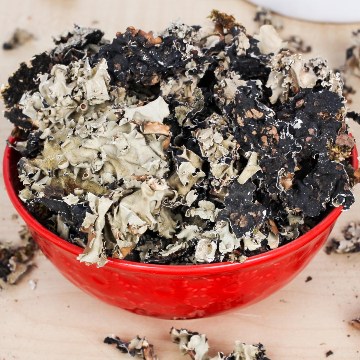 What is Kalpasi? – Banjaran Foodie